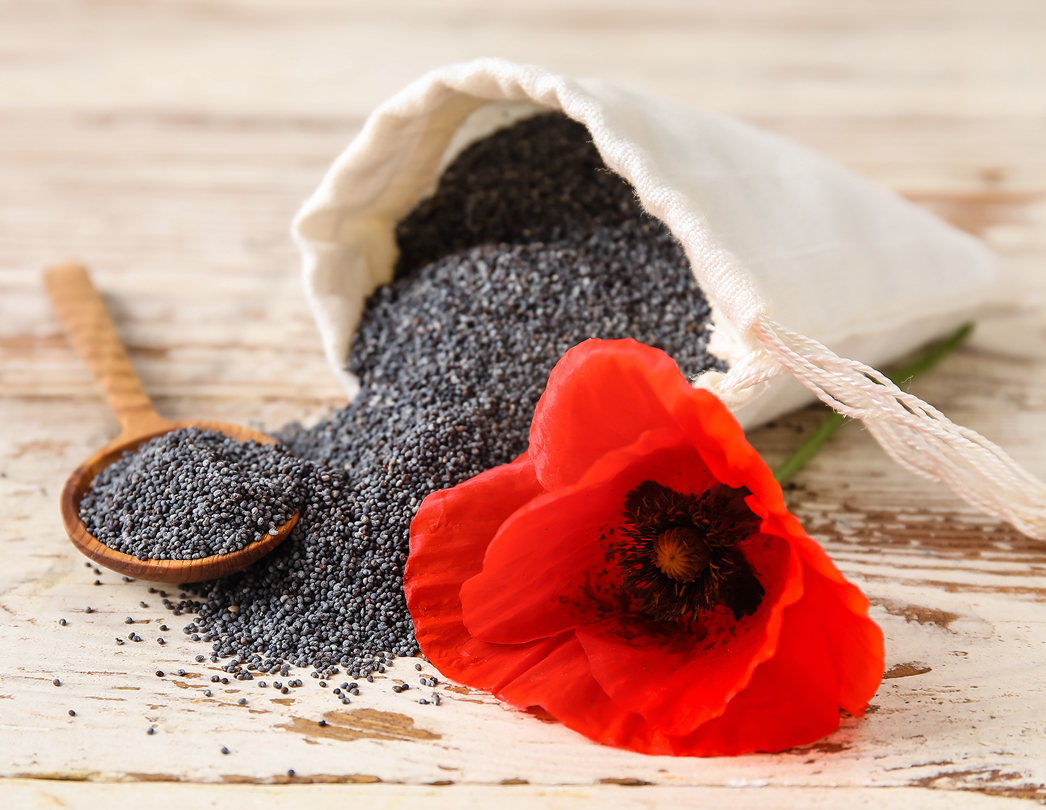 The Poppy Seed Dilemma - Luxor Scientific